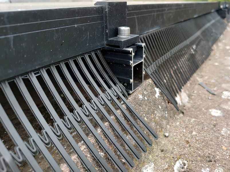 Clenergy Bird Guard - countyelec